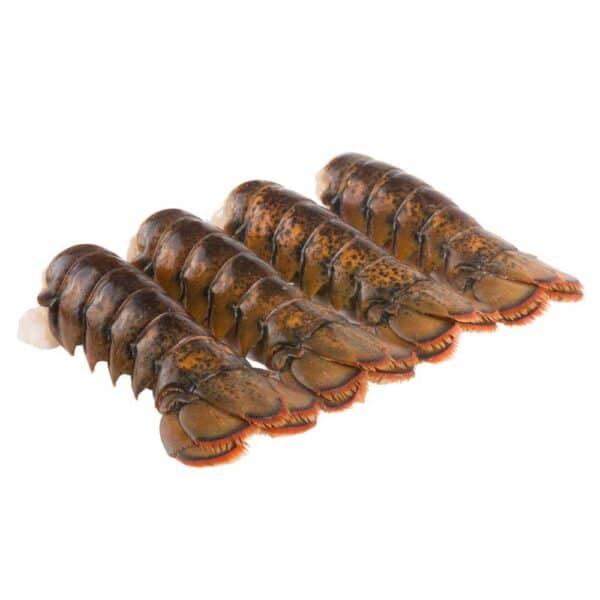Lobster Tails (Maine Cold Water) - 4/5oz Tails - Today Gourmet | High ...